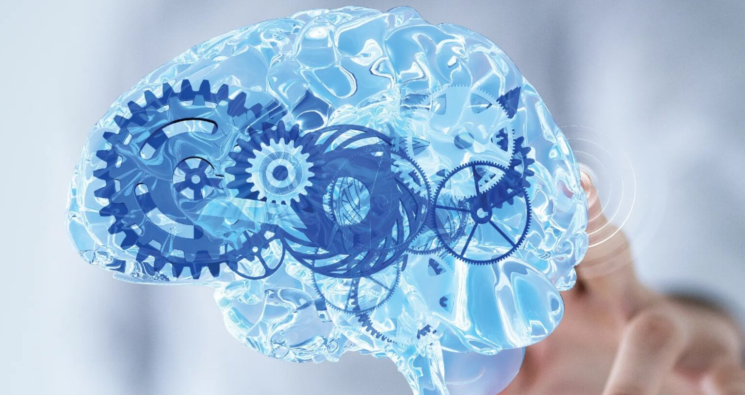 Which Part of the Brain Controls Motivation and Reward? - San Diego Neuro Feedback